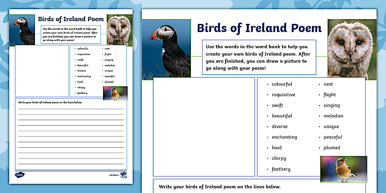 Birds of Ireland Poem Writing Template (teacher made)