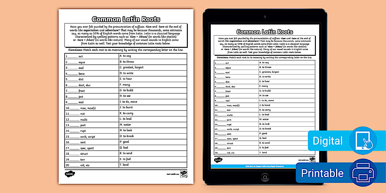 Common Root Words | ELA | Twinkl USA (Teacher-Made) - Twinkl