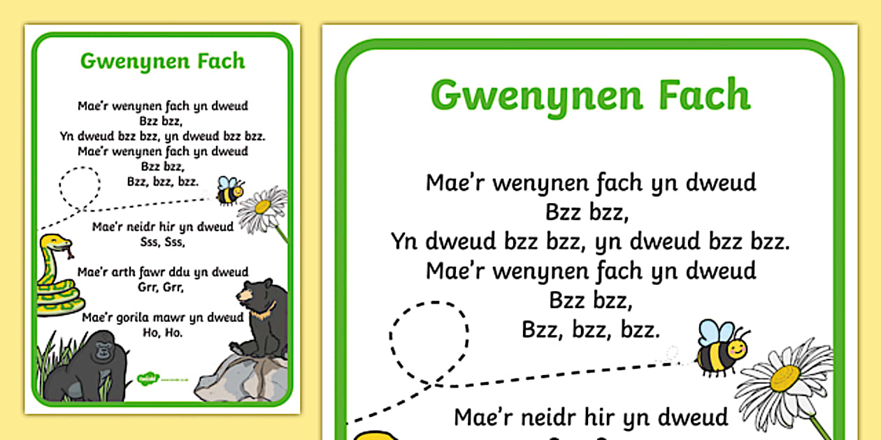 The Little Bee in Welsh Song Lyrics (Teacher-made) Twinkl