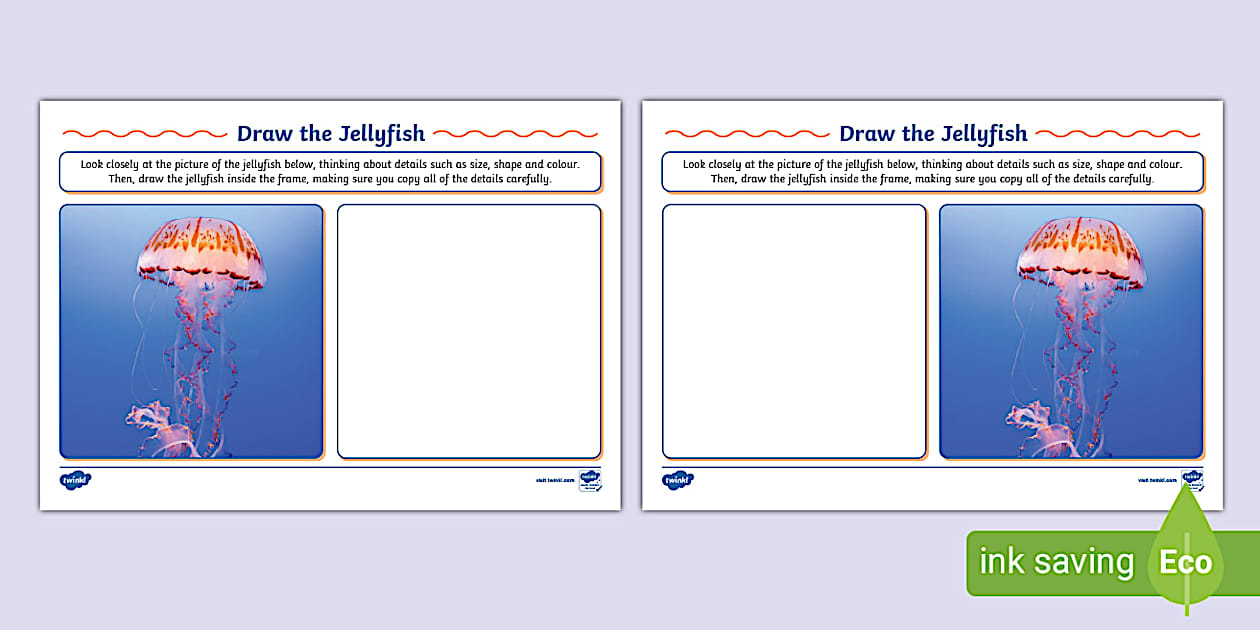 Draw the Jellyfish Activity (Teacher-Made) - Twinkl