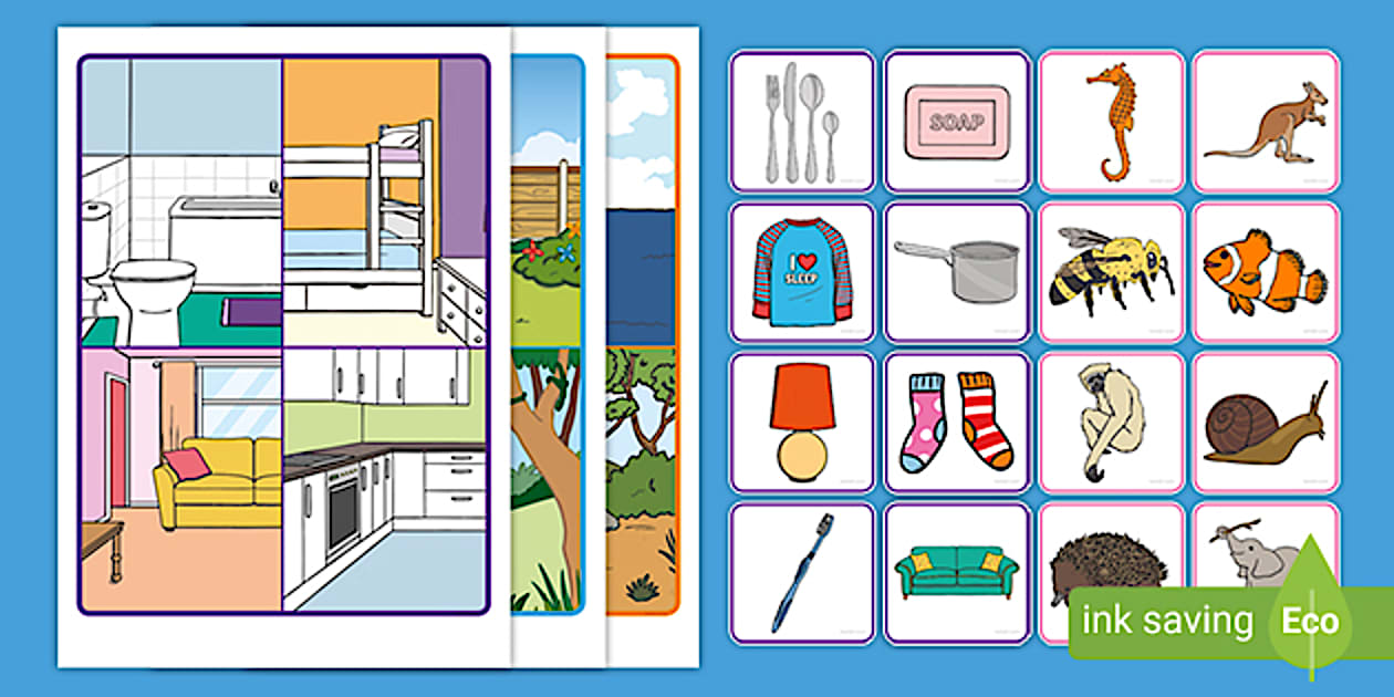 Sorting Categories Activity (teacher made) - Twinkl