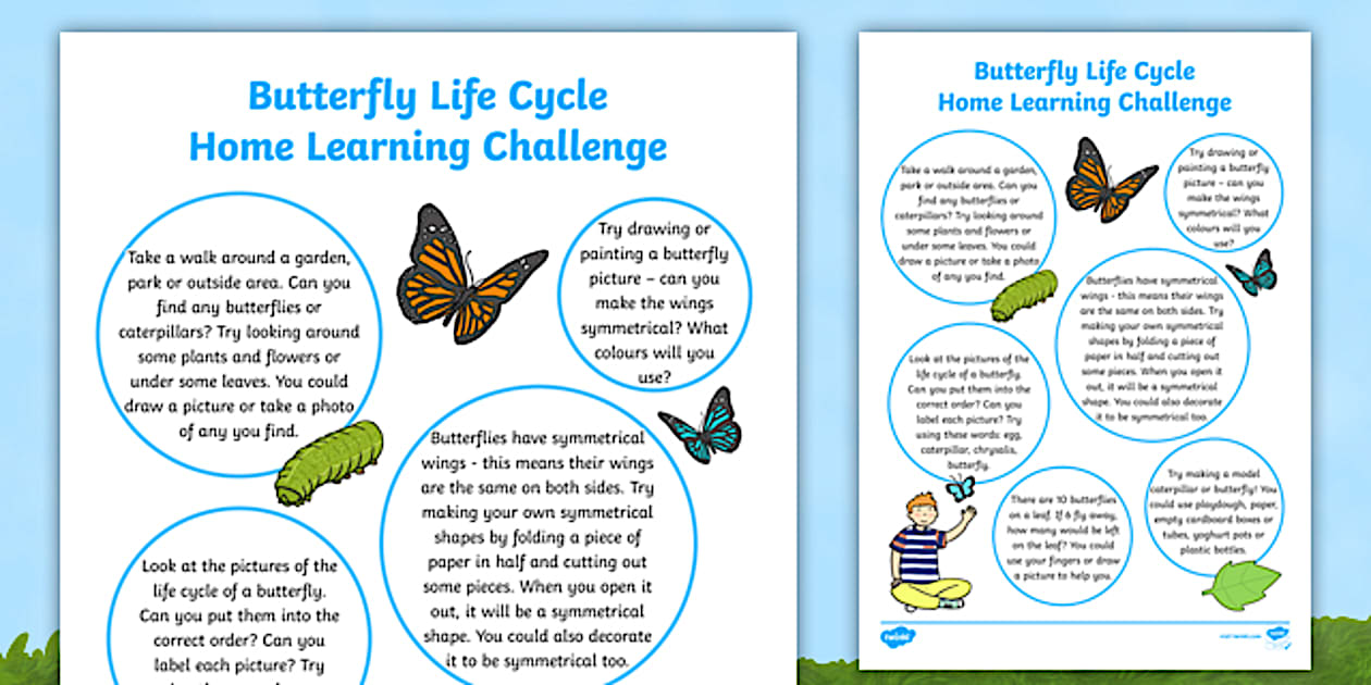 Black and White EYFS Butterfly Life Cycle Home Learning Challenges ...