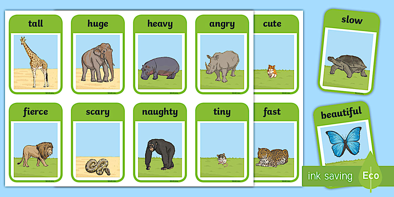 Zoo Animals Adjectives Flashcards - - Twinkl