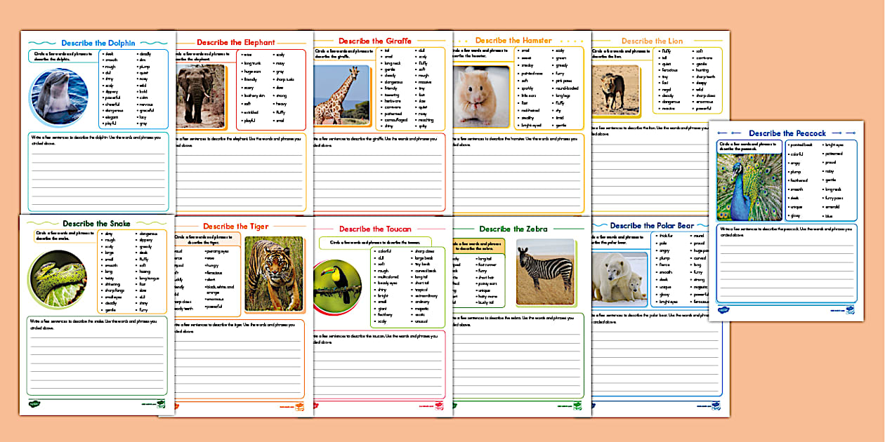 Animal Worksheets and Writing Prompts | Twinkl USA - Twinkl
