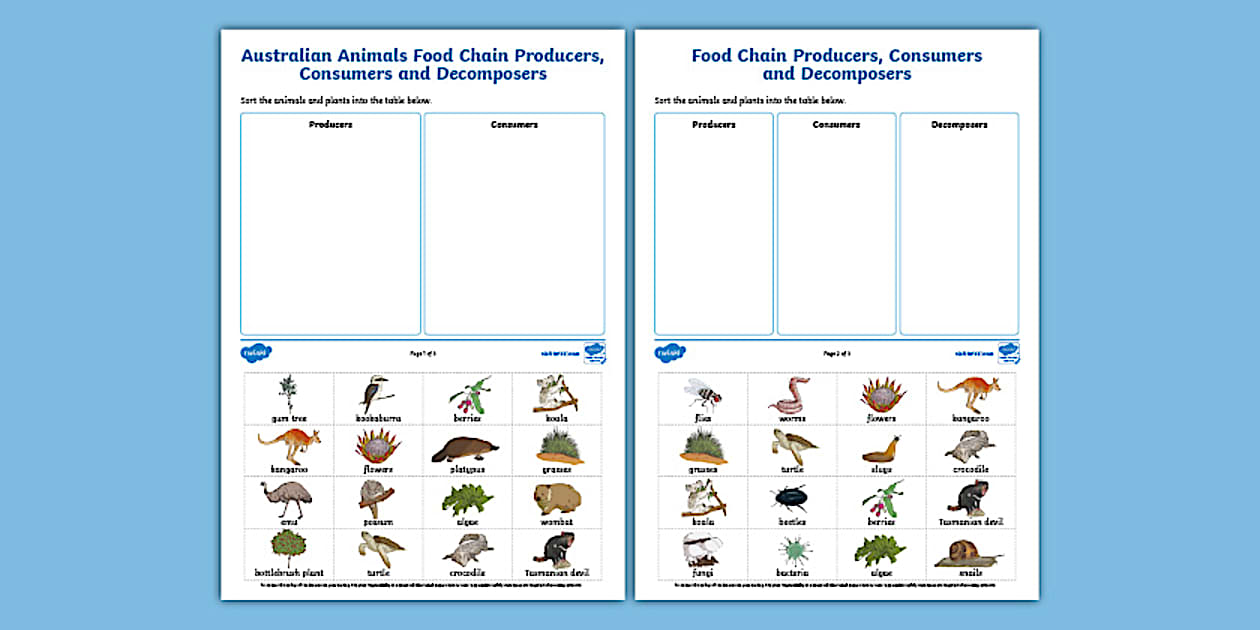 Australian Animals Food Chain Producers, Consumers and Decomposers Sorting