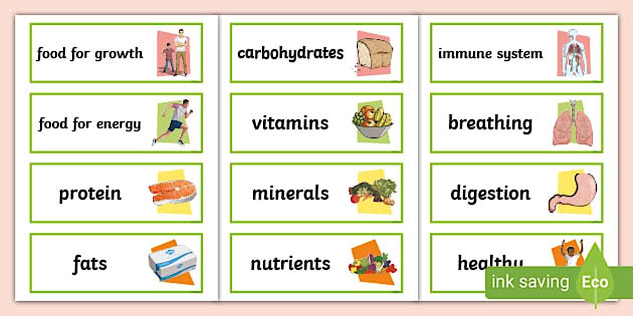 The Importance of Food Word Cards (Teacher-Made) - Twinkl