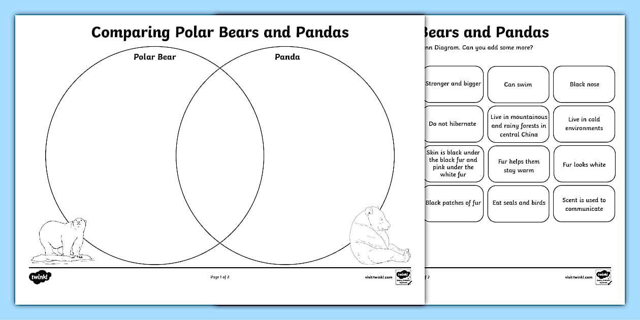 Panda and Polar Bear Venn Diagram Worksheet | Years 3-4