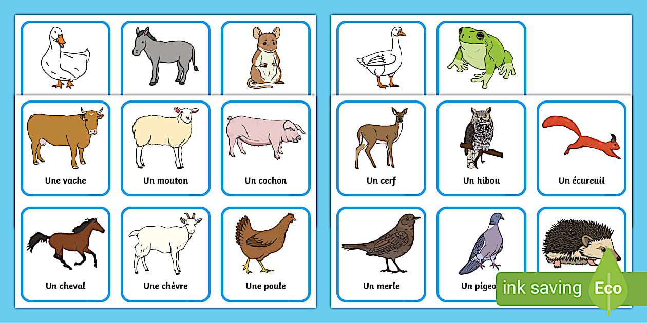 Black and White French Animal Snap Cards (teacher made)