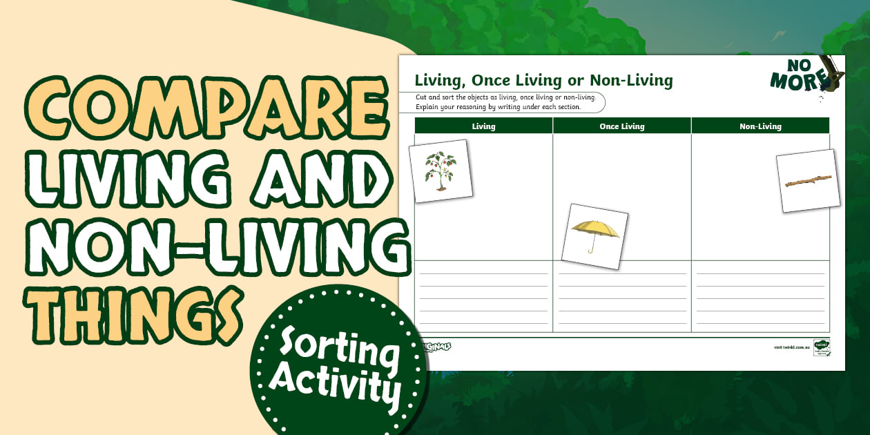 No More – Living, Once Living or Non-Living Activity