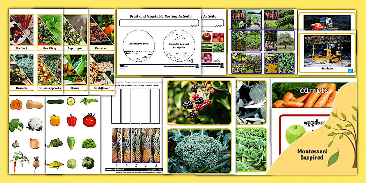 Montessori Vegetables & Fruits Resource Pack (Teacher-Made)