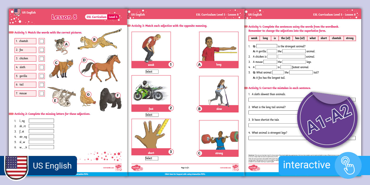 Esl Curriculum Us Version Level 5 Lesson 8 Interactive Sheet