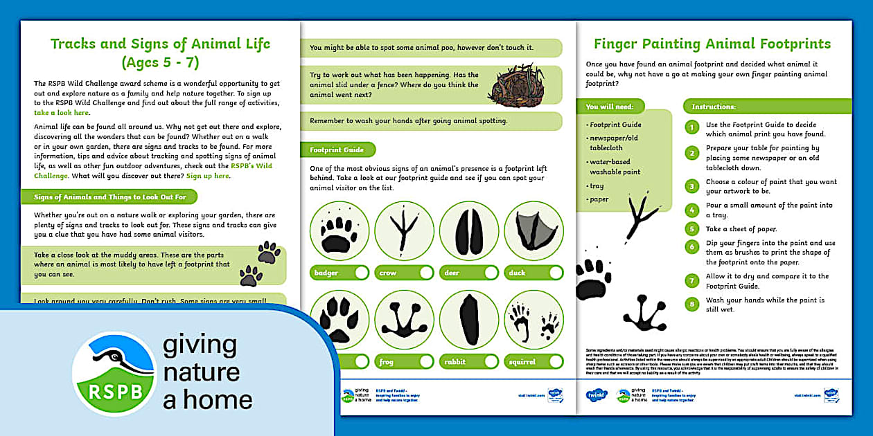 FREE! - Tracks and Signs of Animal Life (Ages 5 - 7)