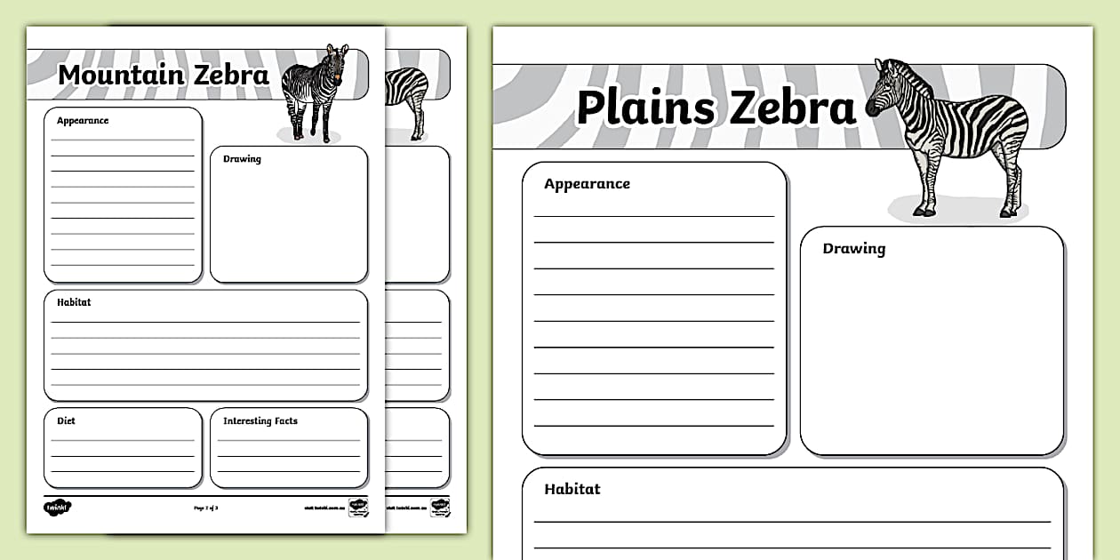 Zebra Species Fact File Template (l'enseignant a fait)