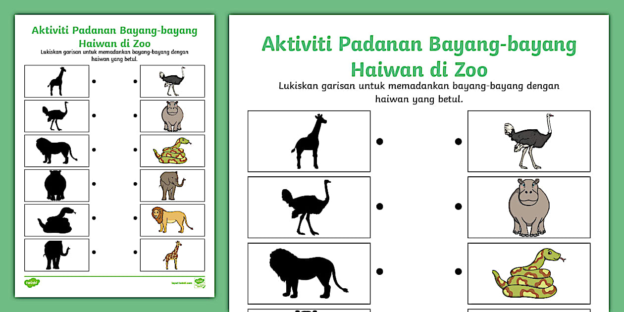 Aktiviti Padanan Bayang-bayang - Haiwan di Zoo - Twinkl