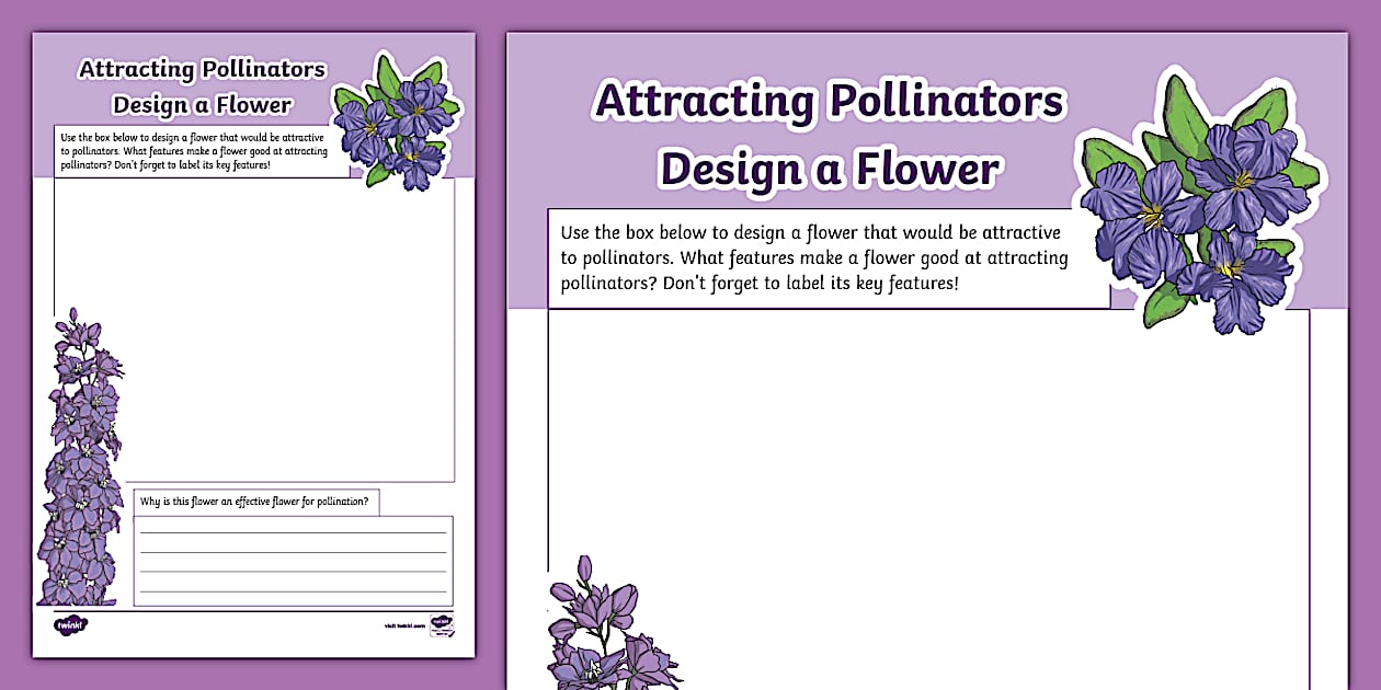 * NEW * Design a Flower for Pollination Worksheet - Twinkl