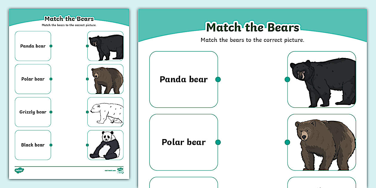 Bears Matching Worksheet (phát triển bởi giáo viên)