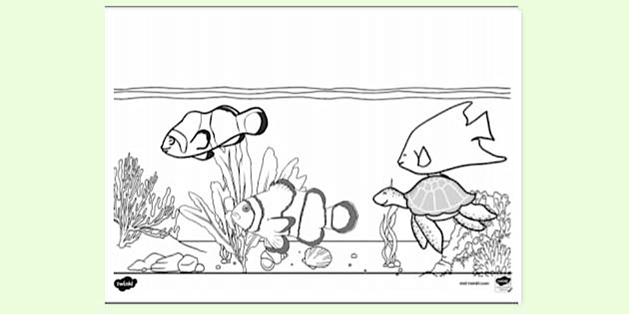 Printable Fish Colouring | Colouring Sheets - Twinkl