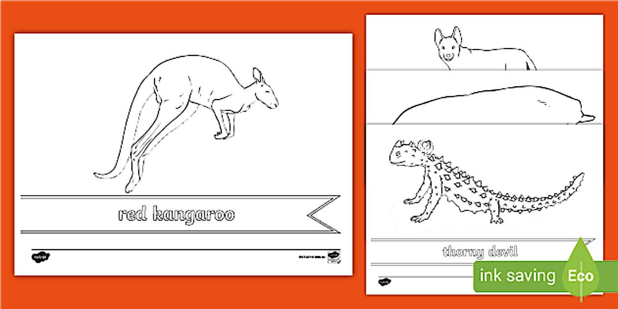 Australian Desert Animals Colouring Activity - Twinkl