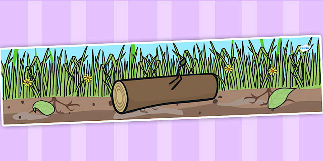 Minibeast Small World Background (teacher made) - Twinkl