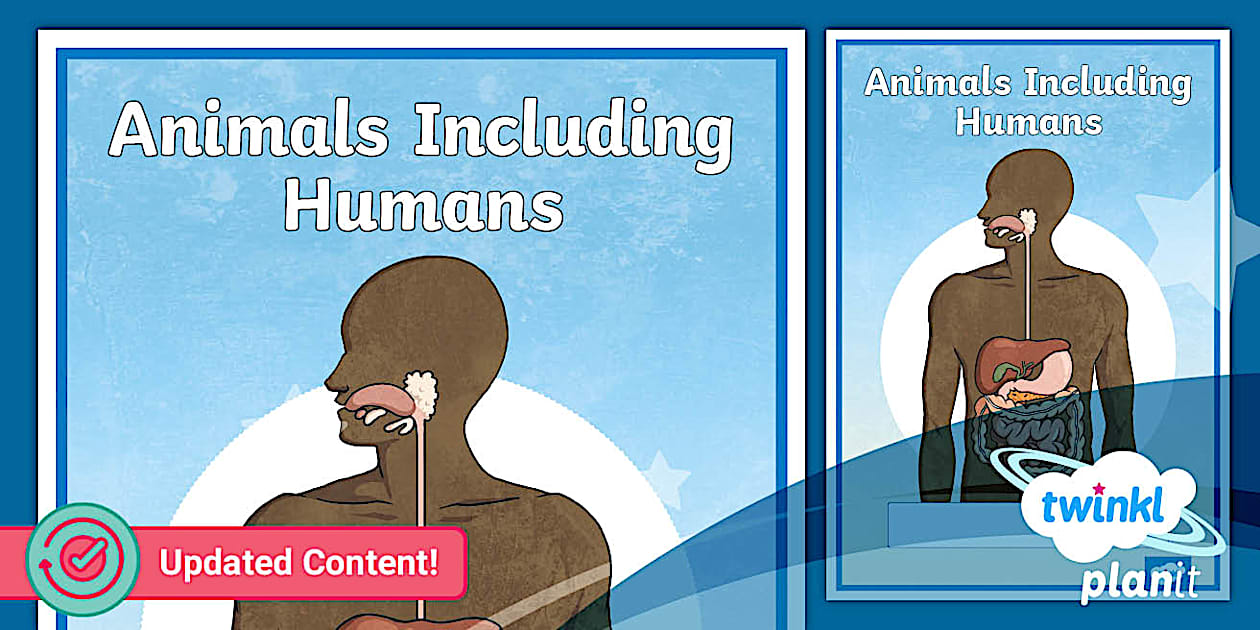 Editable Science: Animals Including Humans Year 4 Unit Book Cover