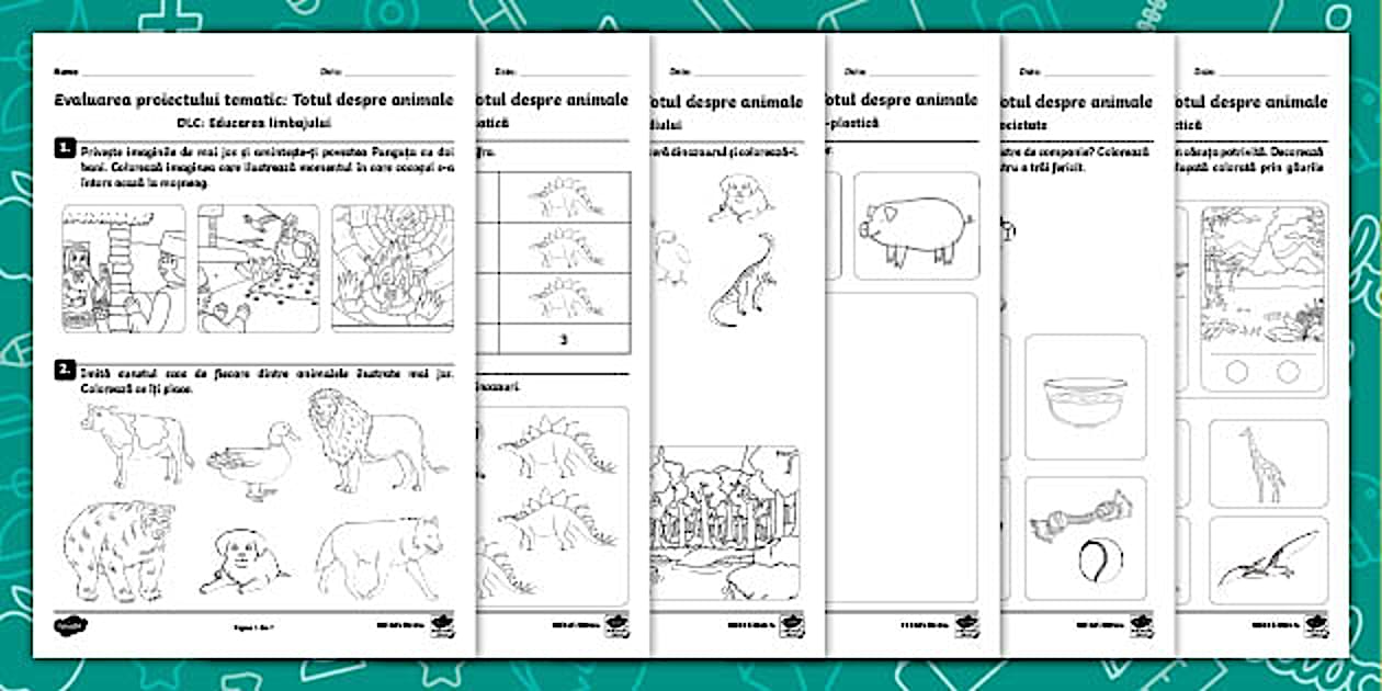 Evaluarea proiectului tematic grupa mică: Totul despre animale
