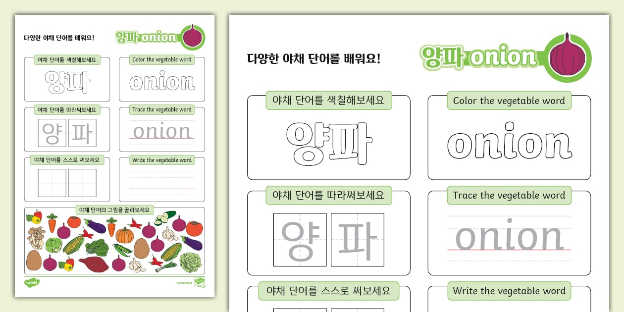 한글과 영어 동시에 완성하기 | 야채 | 양파 | Vetetables Onion Tracing Activity (Korean