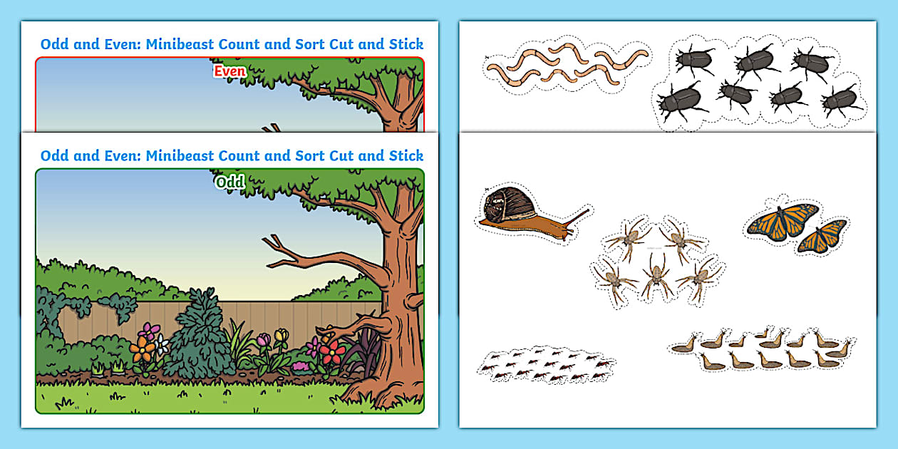 👉 Odd and Even: Minibeast Count and Sort Cut and Stick