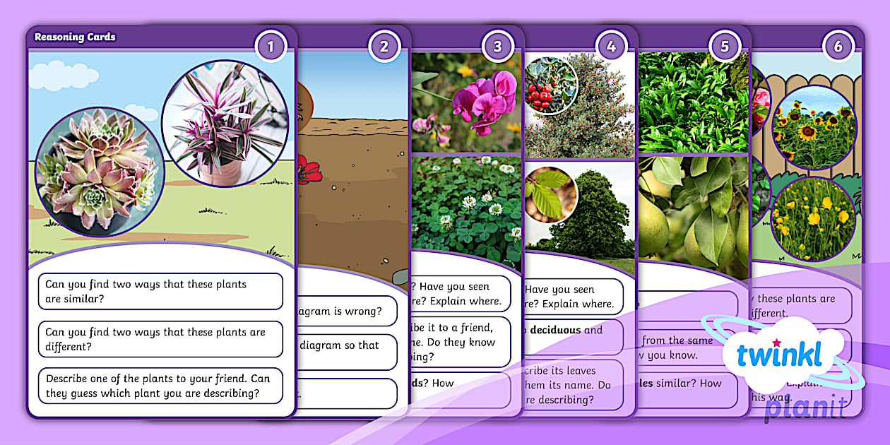 Science: Plants: Year 1 Reasoning Cards (teacher made)