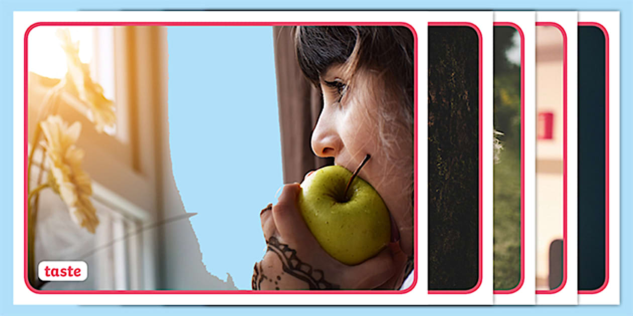 The Five Senses Display Photos (Teacher-Made) - Twinkl