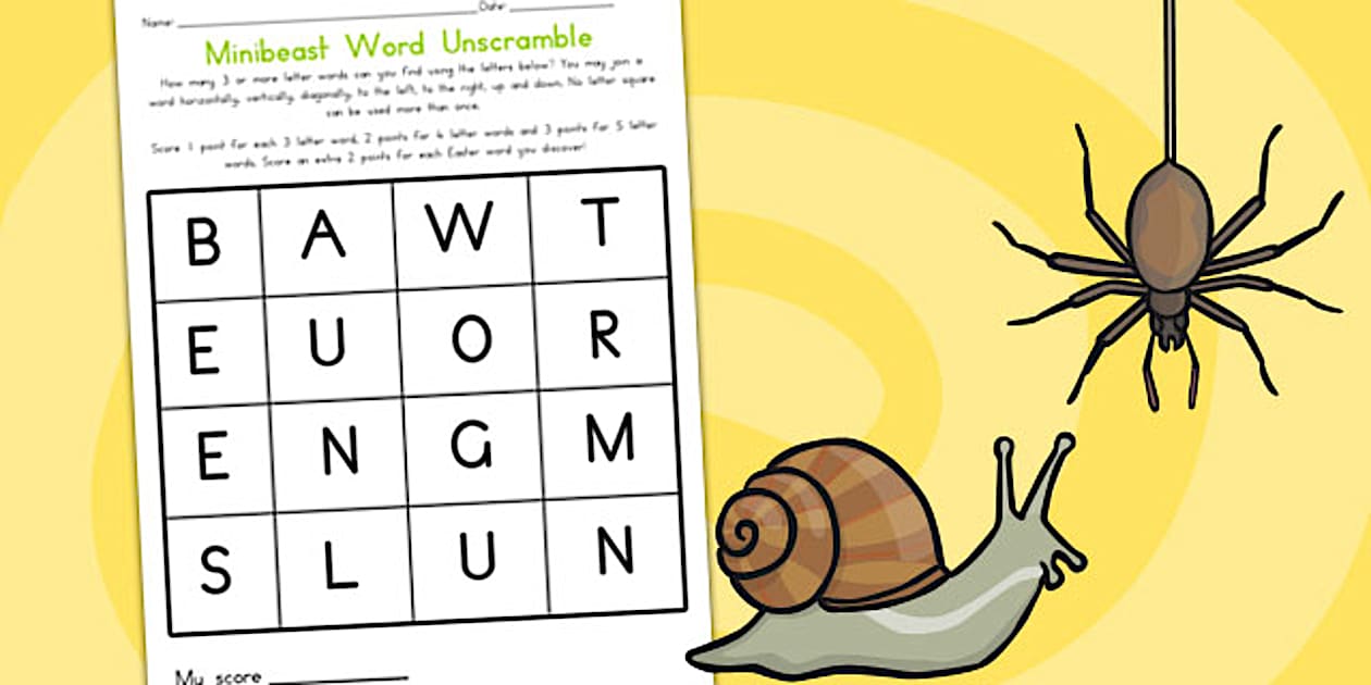 Minibeast Word Unscramble - Twinkl