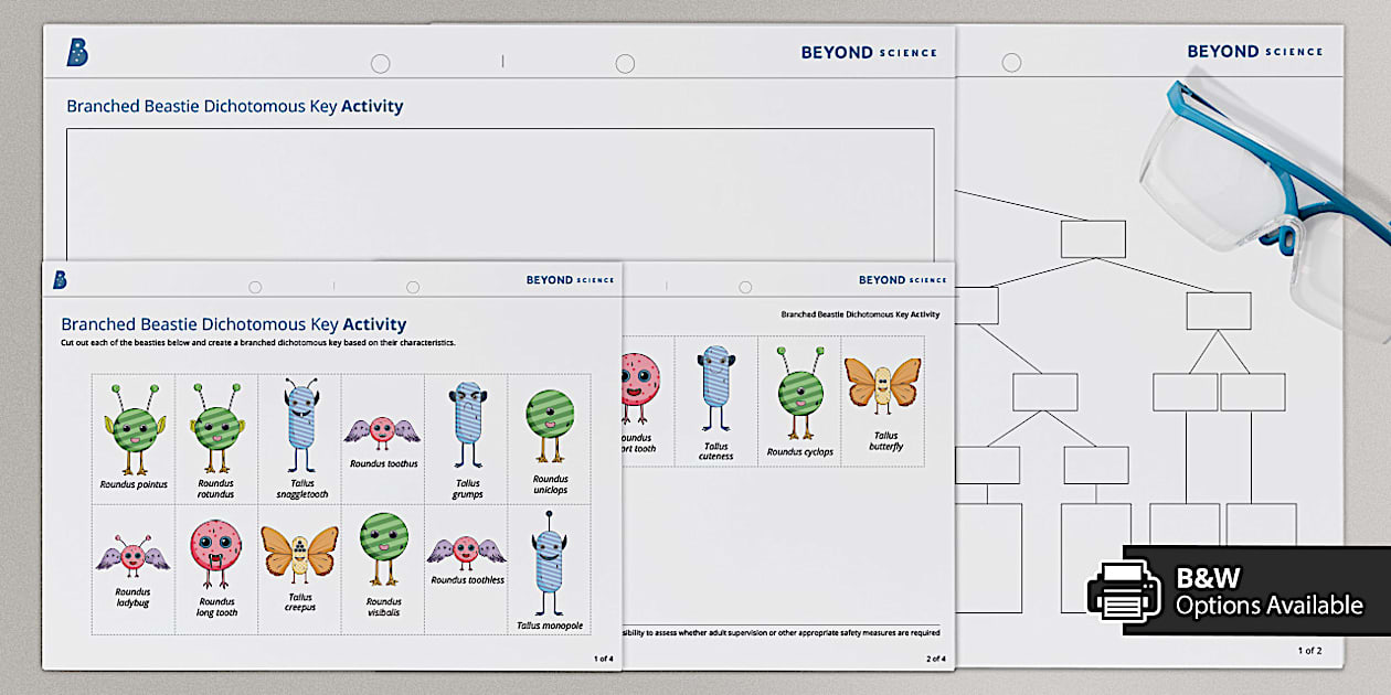 Drawing Branched Dichotomous Keys Differentiated Activity