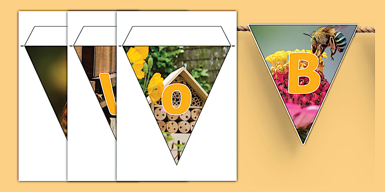World Bee Day Photo Display Bunting (teacher made) - Twinkl