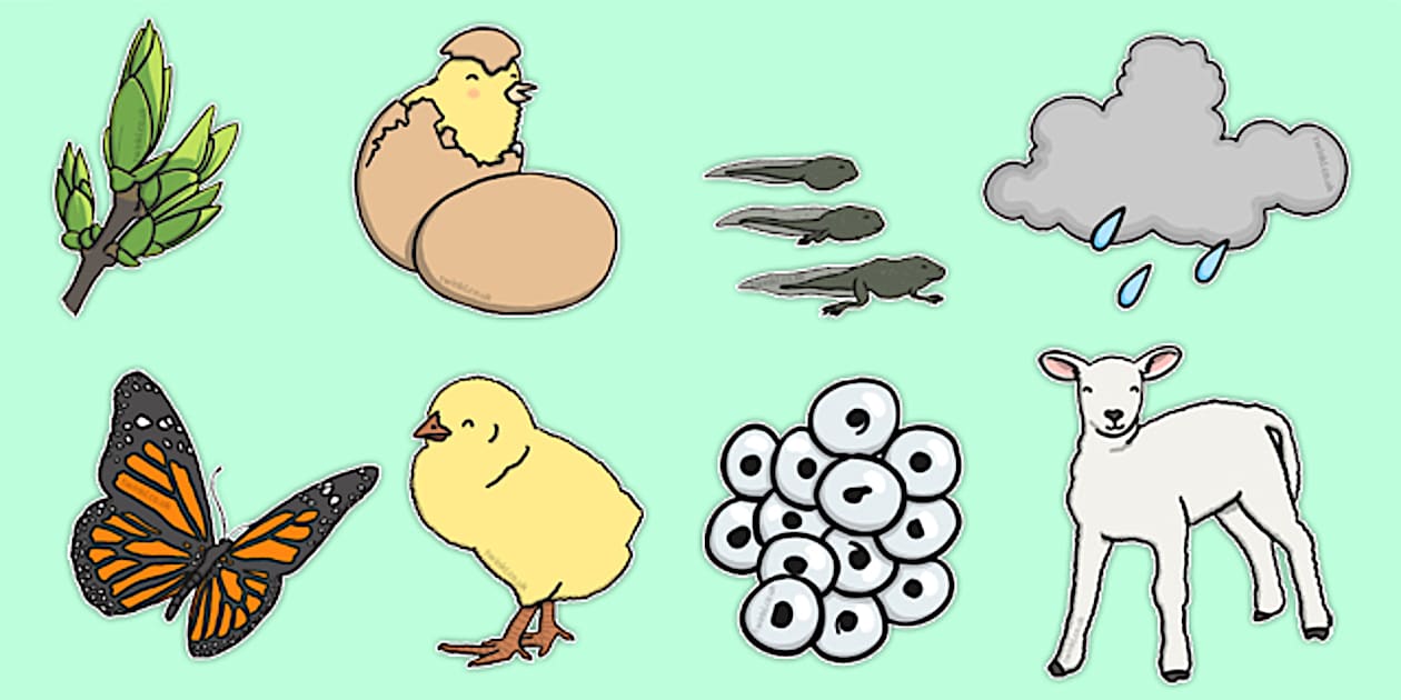 Spring Season Pictures - Cut-Outs (teacher made) - Twinkl