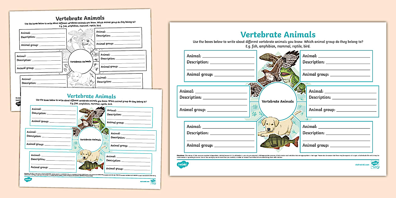 Vertebrate Animals Mind Map (teacher made) - Twinkl