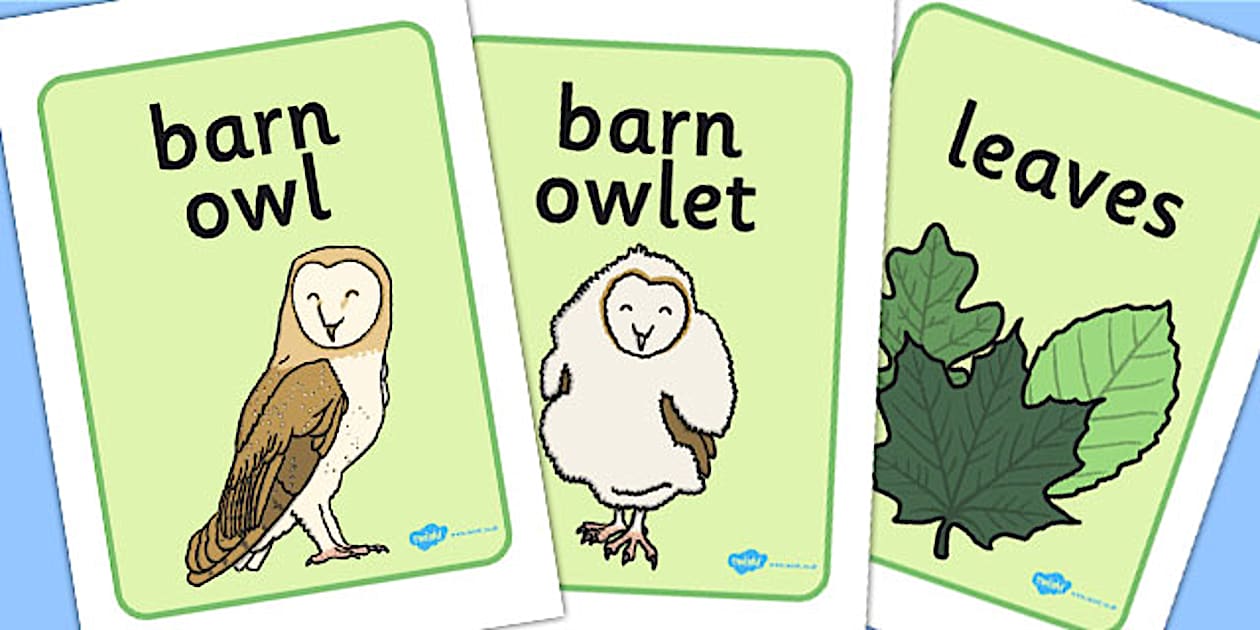 Owl Display Posters (teacher made) - Twinkl