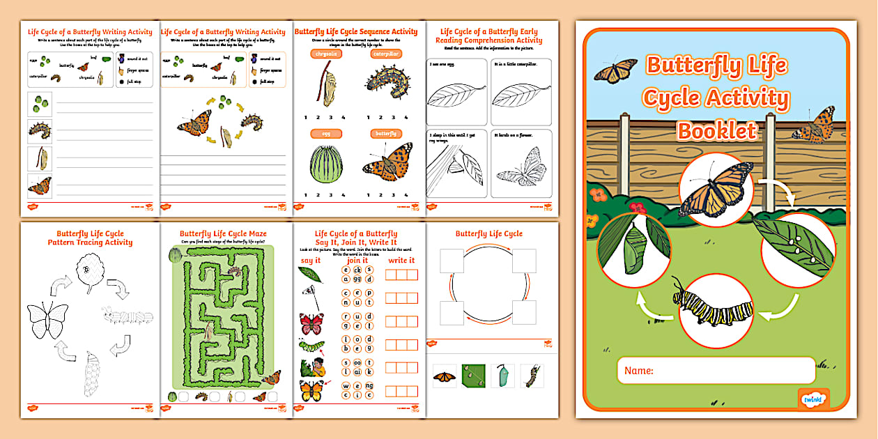 EYFS Butterfly Life Cycle Activity Booklet | Twinkl - Twinkl