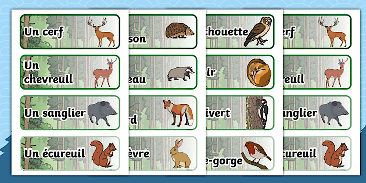 Cartes flash : Les animaux de la forêt (teacher made)