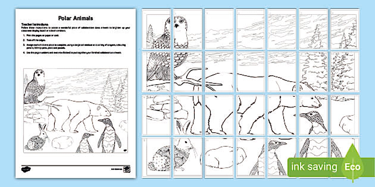 Polar Animals Mindfulness Collaborative Colouring Activity Pack