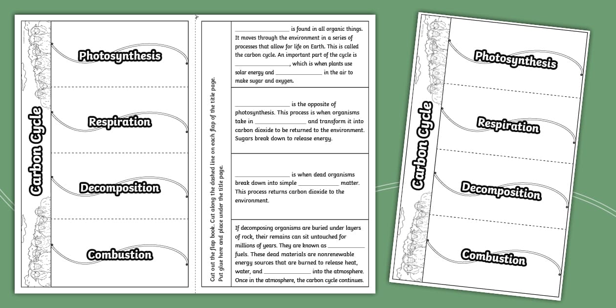 Carbon Cycle Flap Book for 6th-8th Grade (professor feito)