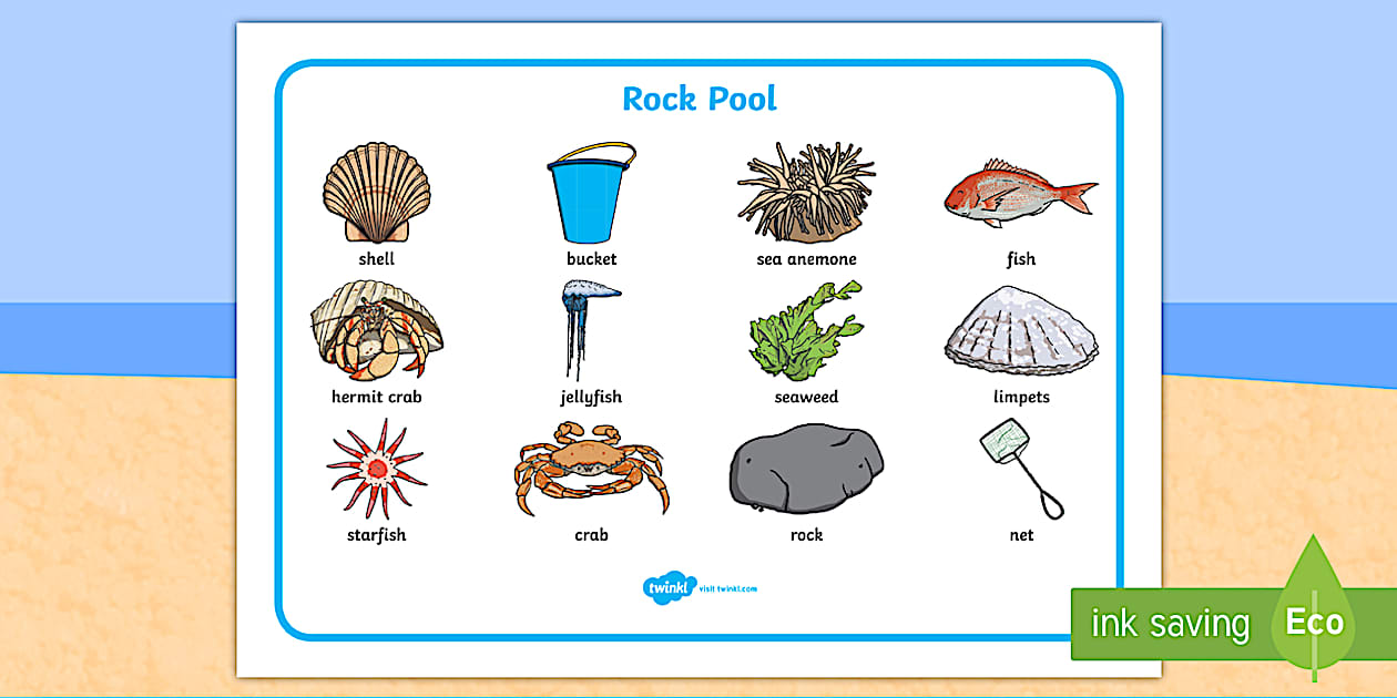 Editable Seaside Rock Pool Word Mat (teacher made) - Twinkl