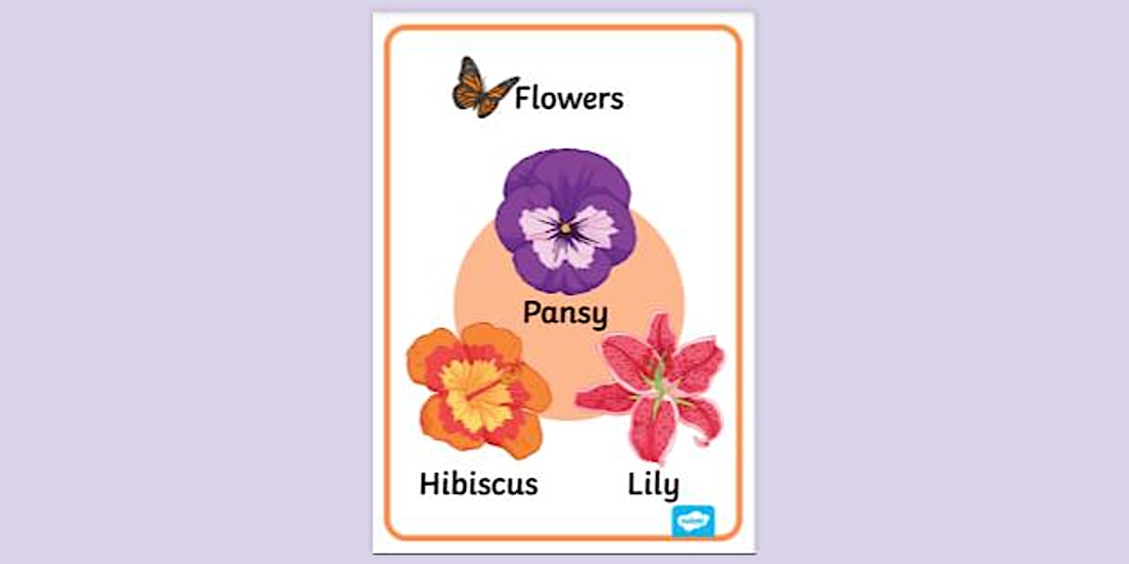 Flower Images Poster | Display Poster | Primary Resources