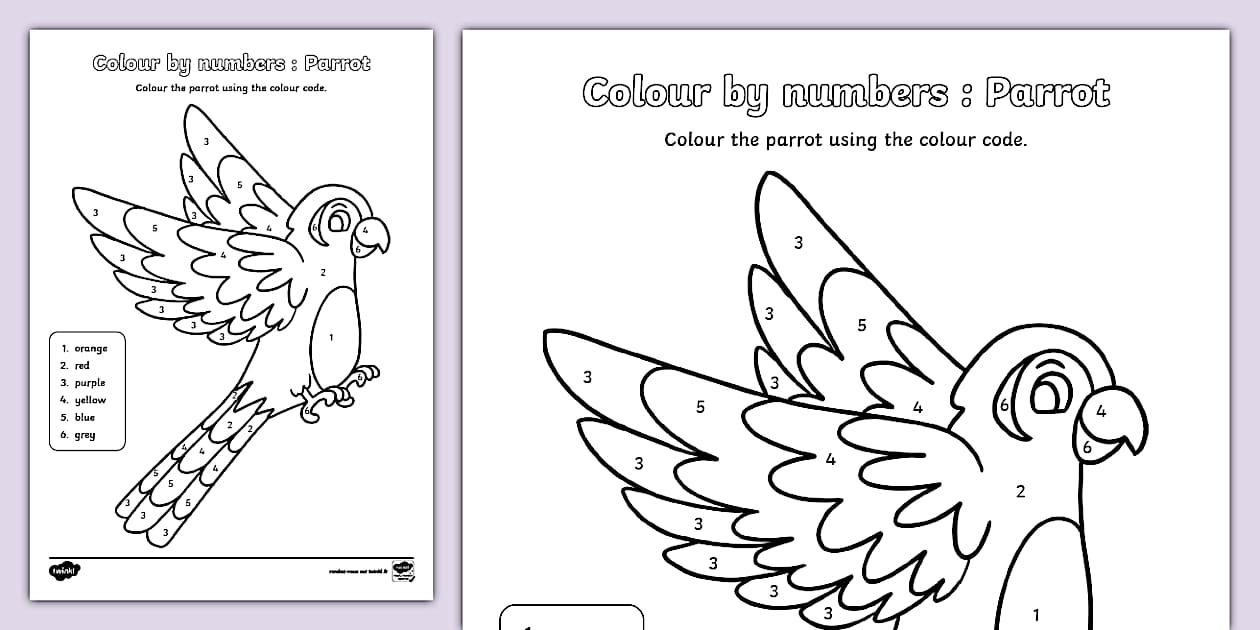 Coloriage magique : Le perroquet - Anglais LV - Twinkl