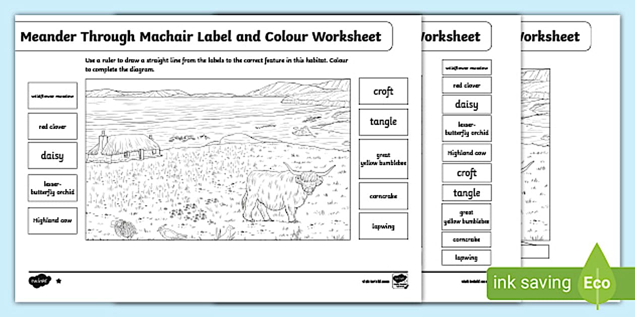 Meander Through Machair Label and Colour Worksheet - Twinkl