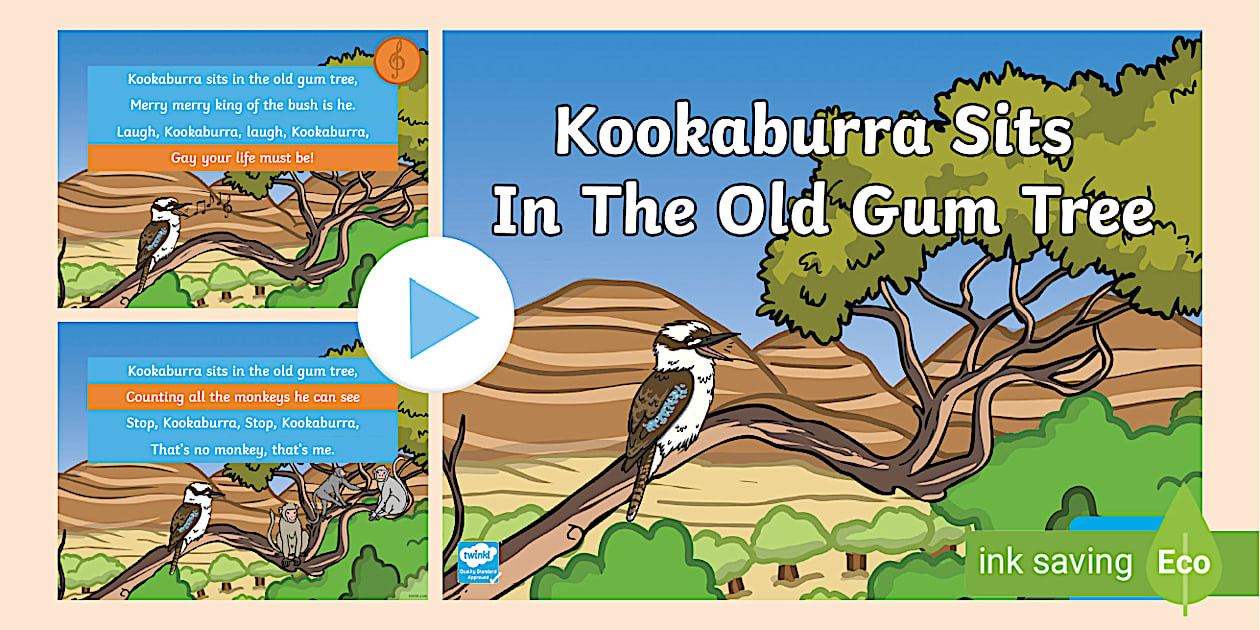 Kookaburra Sits in the Old Gum Tree Song PowerPoint - Twinkl