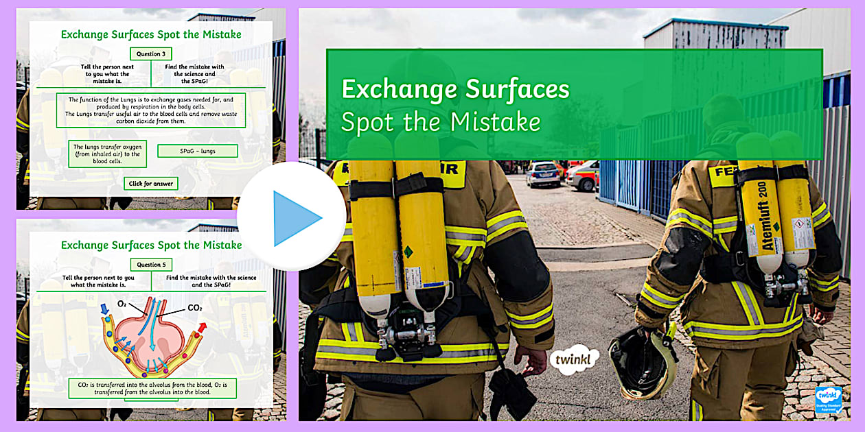 Spot the Mistake: Gas Exchange PowerPoint - Twinkl
