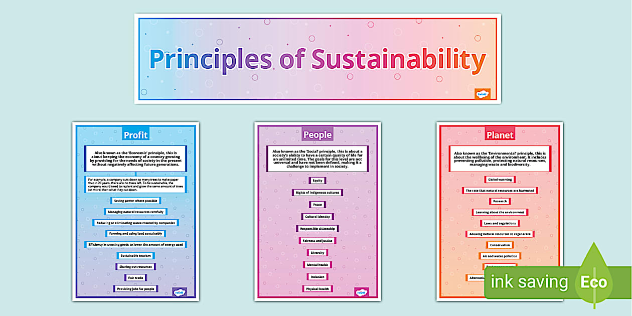 3 Principles of Sustainability Posters for social science NZ