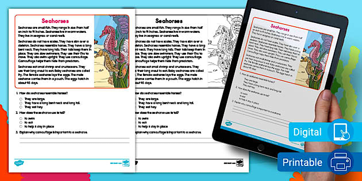 Second Grade Seahorses Reading Comprehension | Twinkl USA