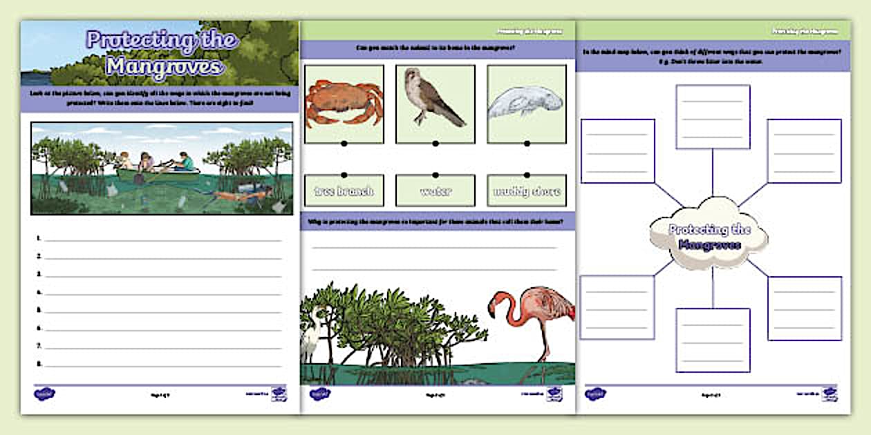 KS2 UAE Sustainability Activity Sheet (teacher made)