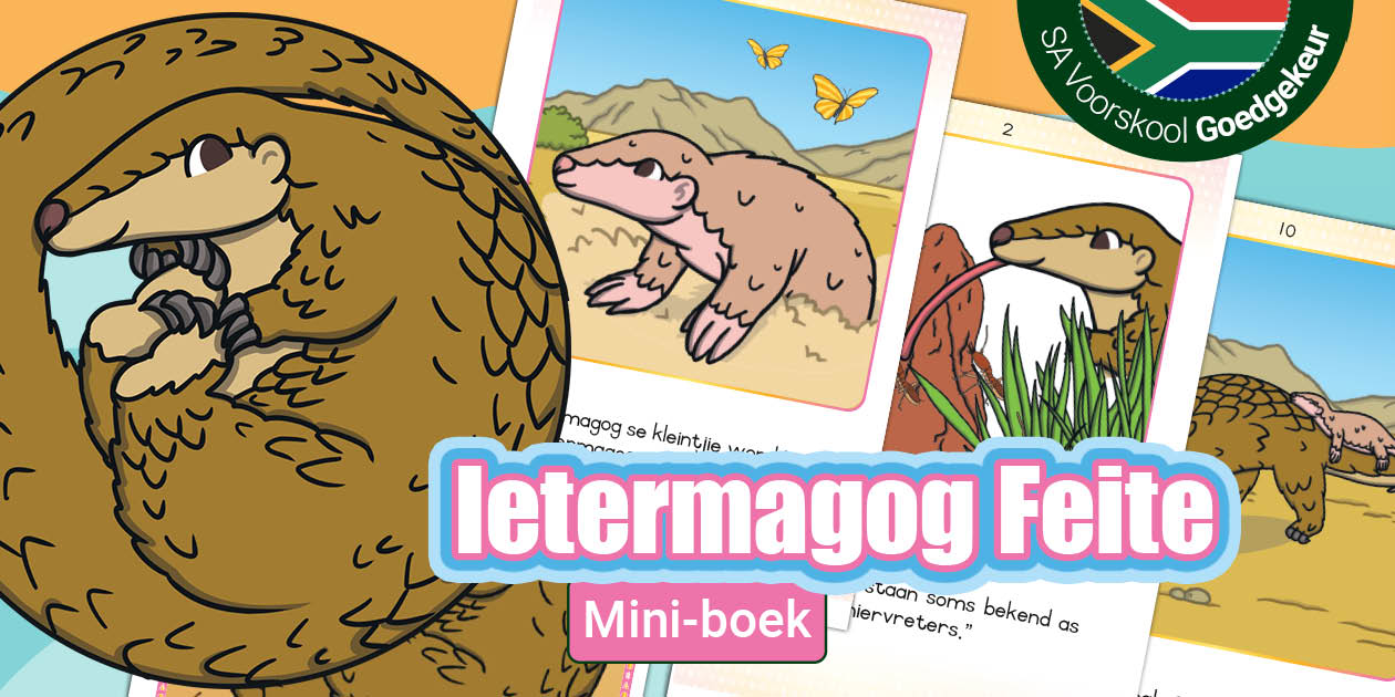 Voorskool - Ons Gaan Op Safari - Ietermago Feite Boekie