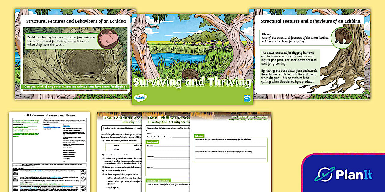Yr 5 Science Built to Survive L4 Surviving and Thriving